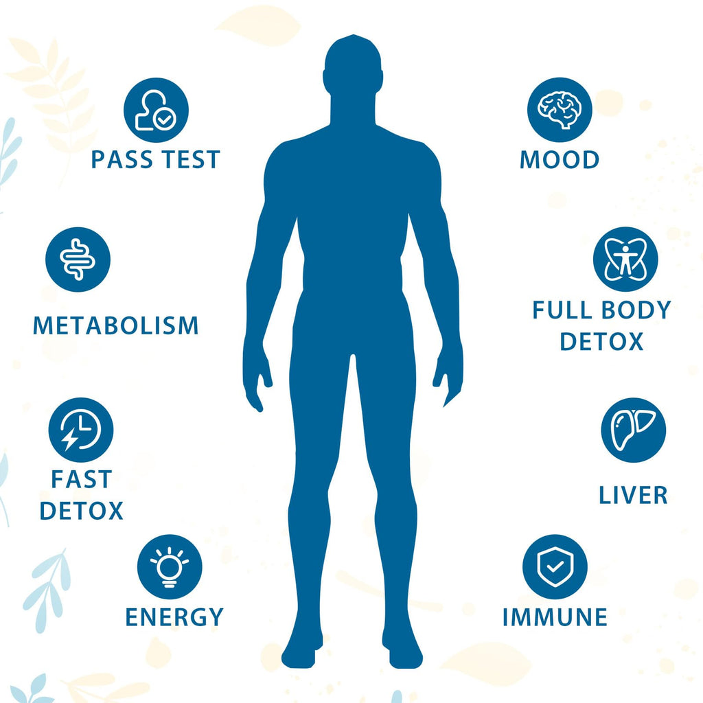 herbal detox for liver support