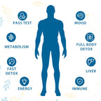 herbal detox for liver support