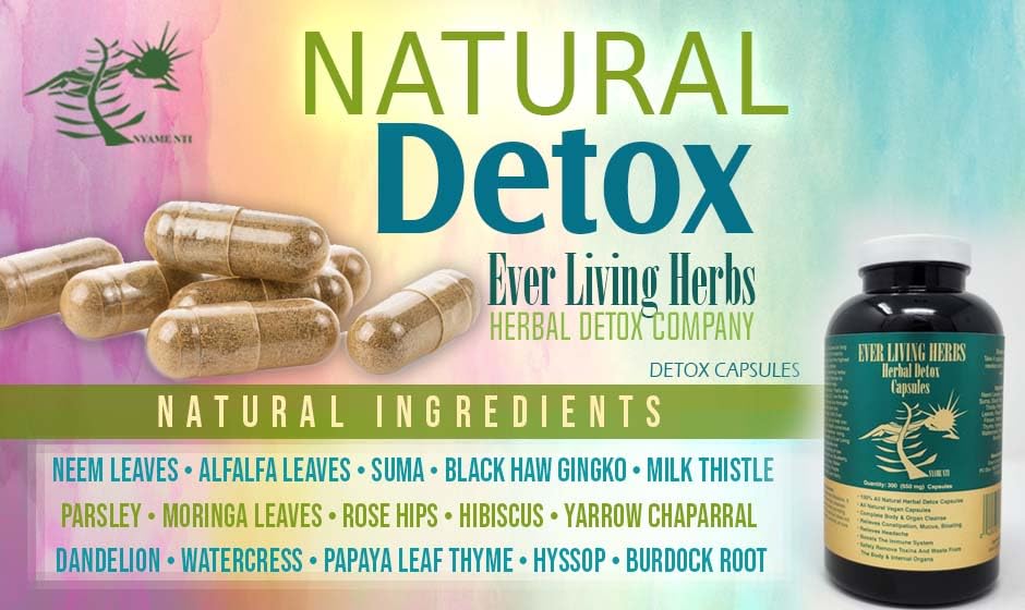 herbal detox for overall wellness