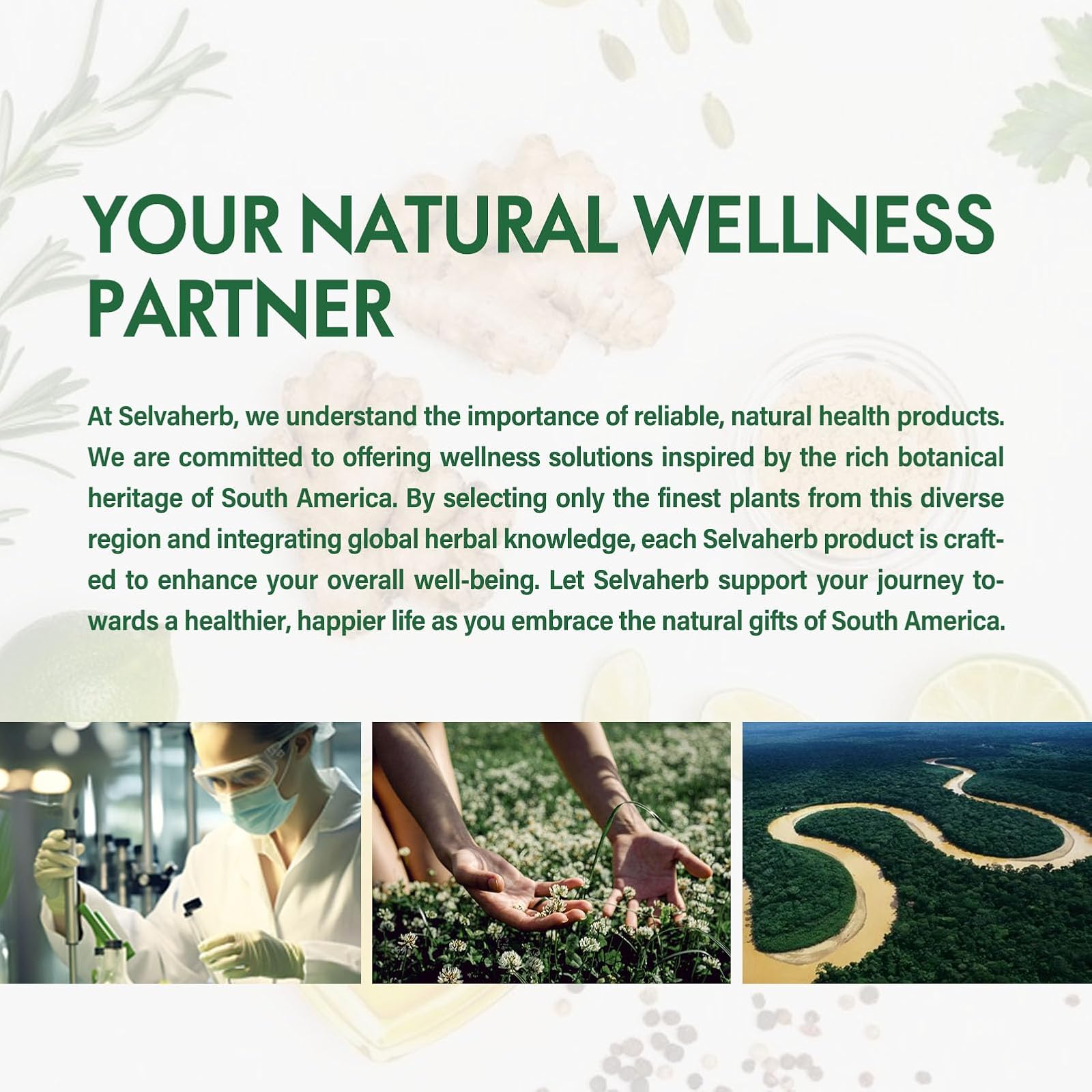 herbal detox solution for vitality