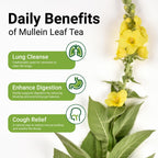 herbal detox tea blend