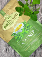 Herbal detox tea for feline wellness