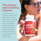 Herbal detox tea for improved kidney function