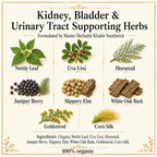 herbal detox tea for wellness