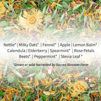 herbal detox tea for wellness