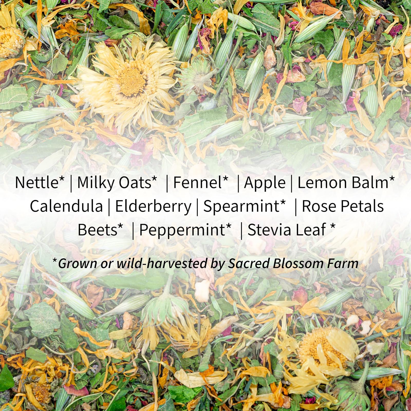 herbal detox tea for wellness