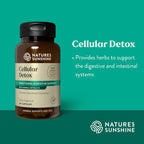 herbal detox tea for wellness