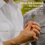 herbal detox tea for wellness