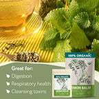 herbal detox tea for wellness