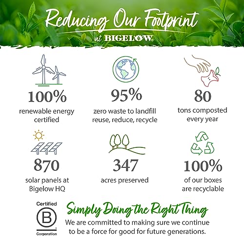 herbal detox tea variety pack