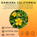 herbal detox tea with damiana