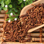 herbal detox tea with dandelion