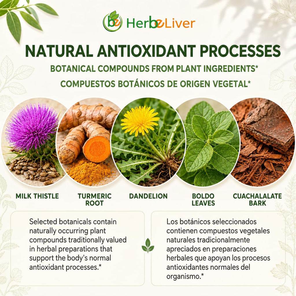 Herbal detox tea with dandelion