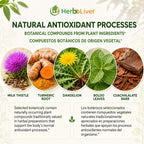Herbal detox tea with dandelion