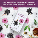 Herbal detox tea with echinacea