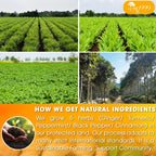 herbal detox tea with ginger