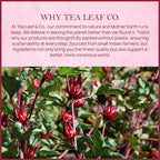 Herbal detox tea with hibiscus