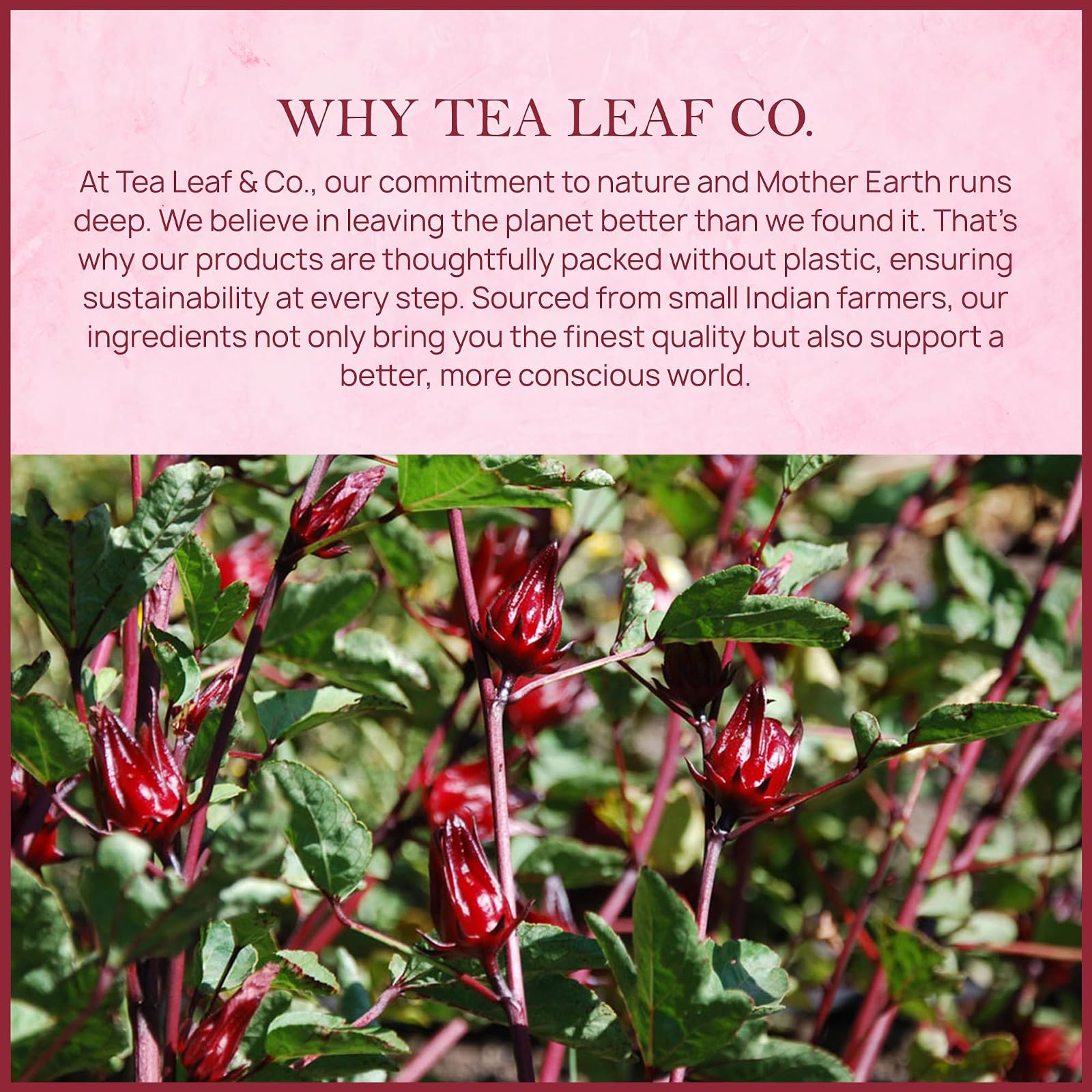 Herbal detox tea with hibiscus