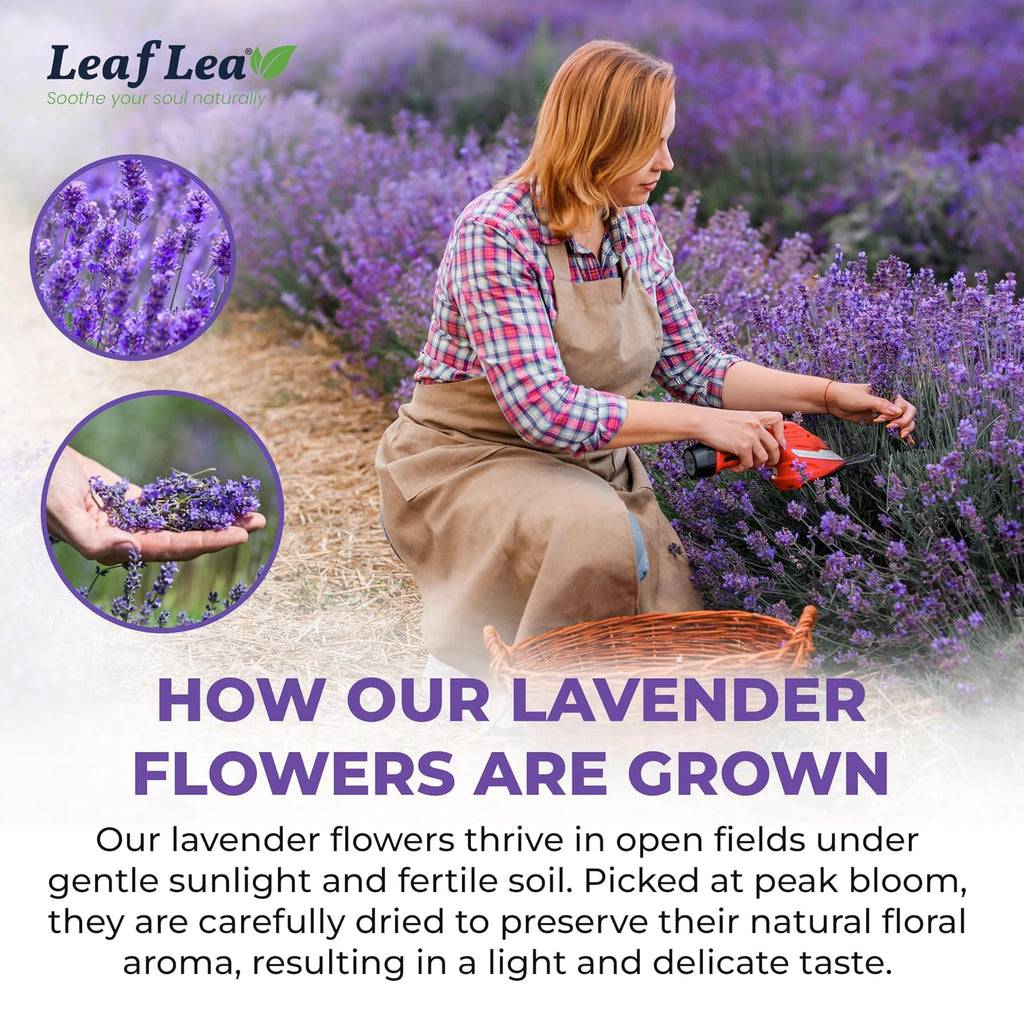 herbal detox tea with lavender flavour