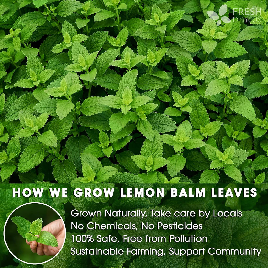 herbal detox tea with lemon balm