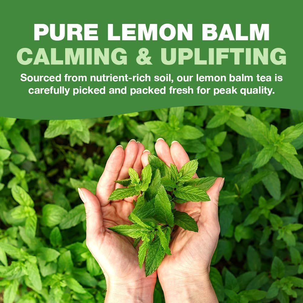 herbal detox tea with lemon balm