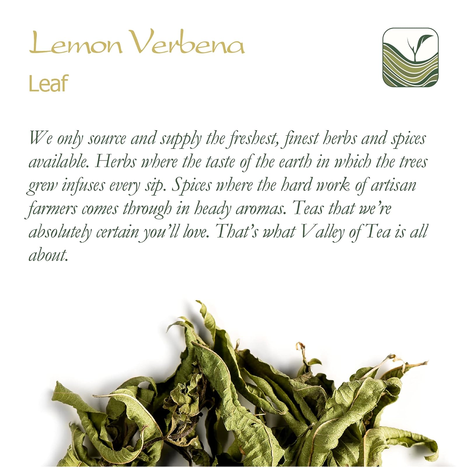 herbal detox tea with lemon verbena