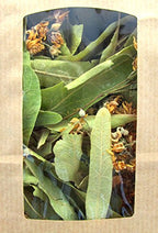 herbal detox tea with linden