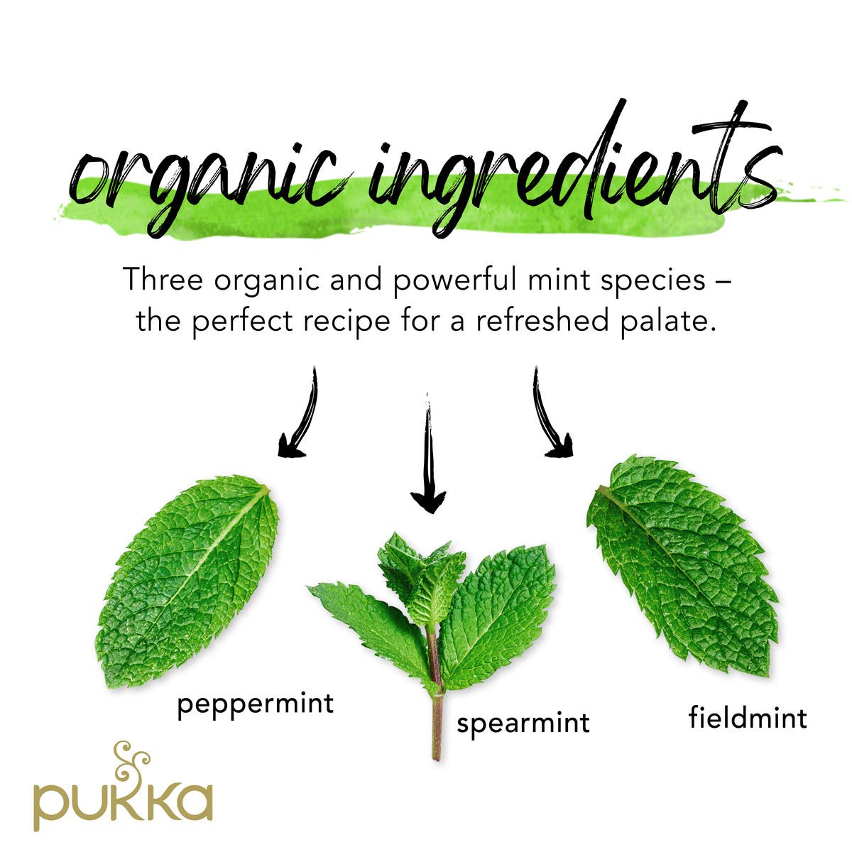 herbal detox tea with mint
