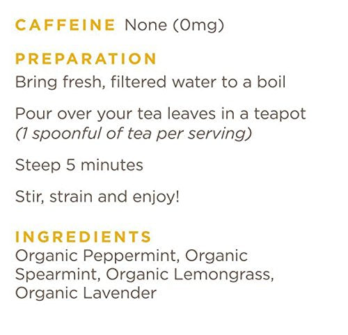 herbal detox tea with mint