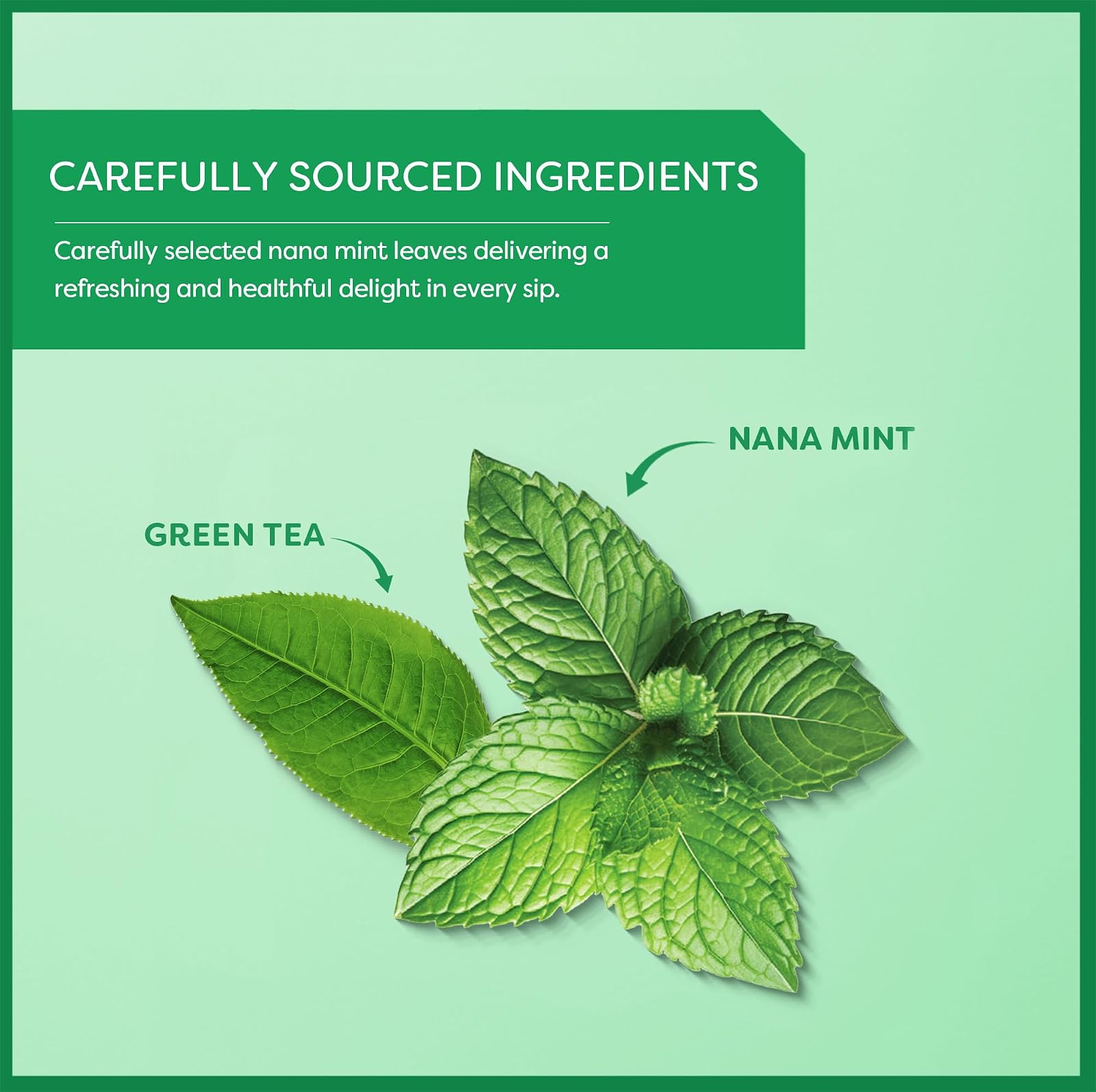 herbal detox tea with mint