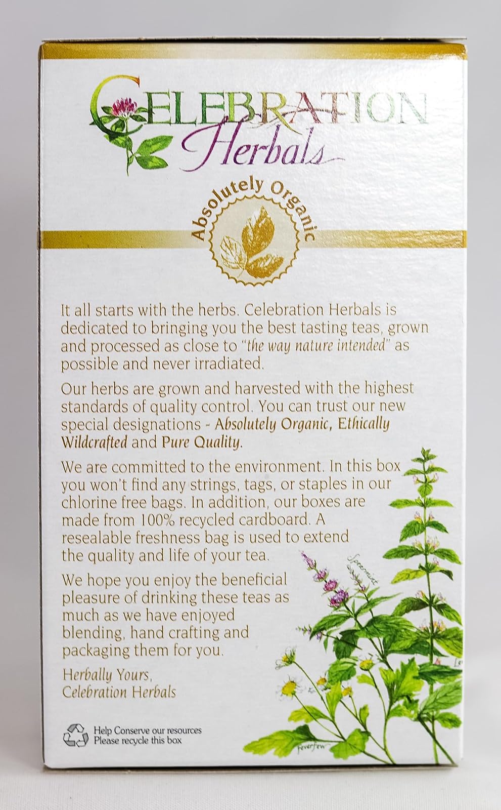 herbal detox tea with mint