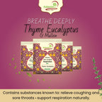 Herbal detox tea with mullein and thyme