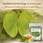 herbal detox tea with Pata de Vaca