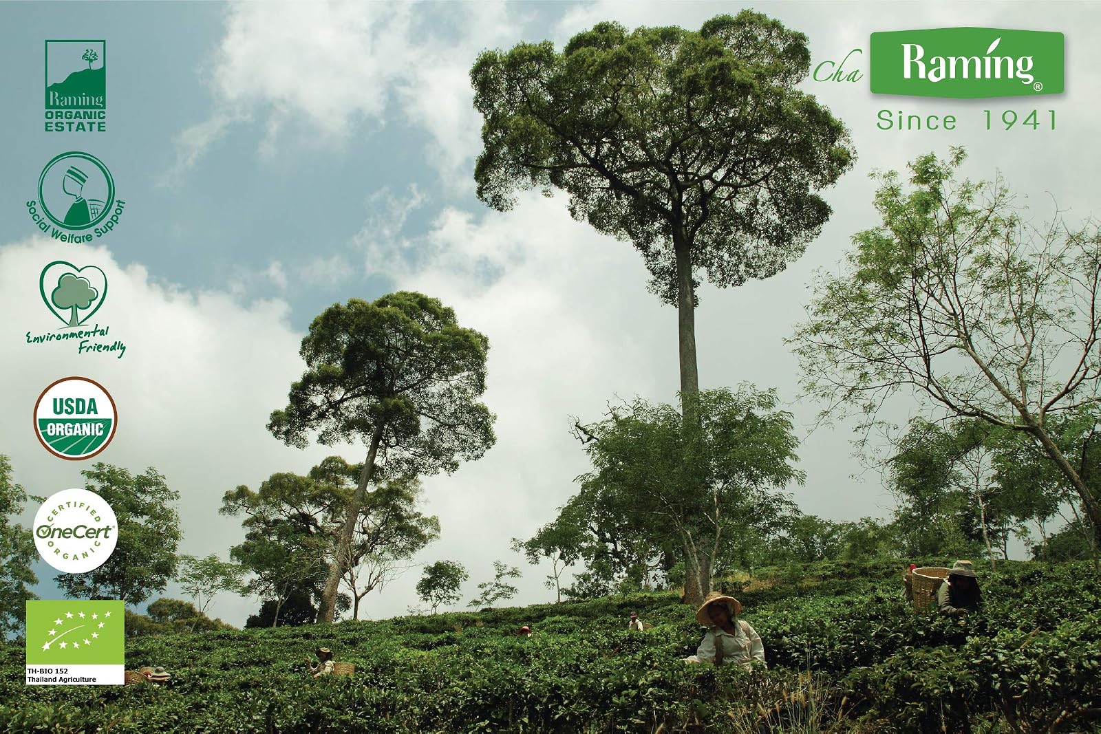 herbal detox tea with pink tea
