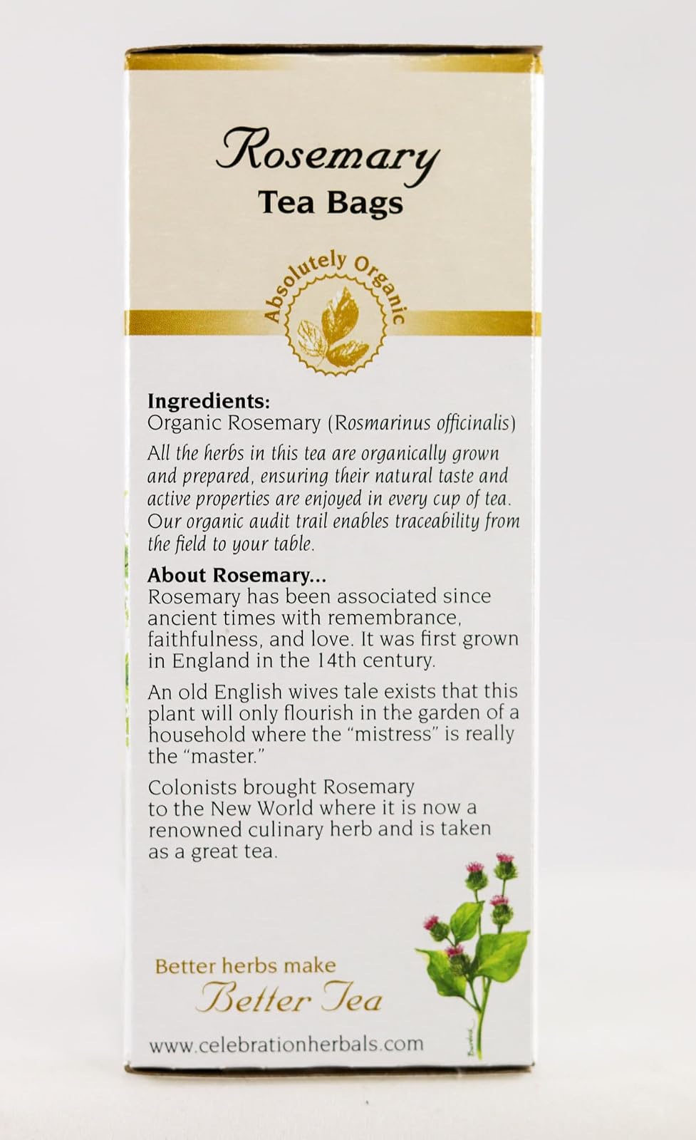 herbal detox tea with rosemary infusion