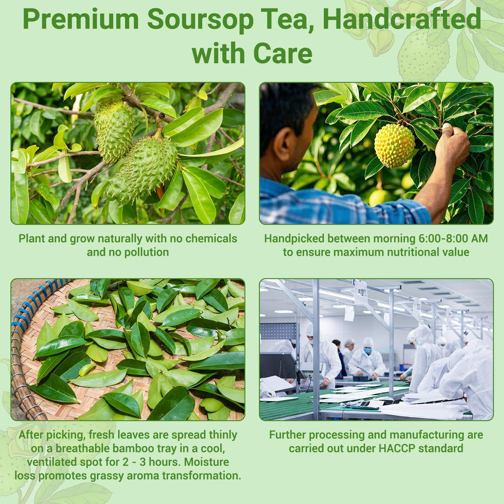 herbal detox tea with soursop