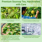 herbal detox tea with soursop
