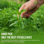 herbal detox tea with stevia