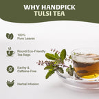Herbal detox tea with Tulsi