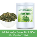 herbal detox tea with wormwood