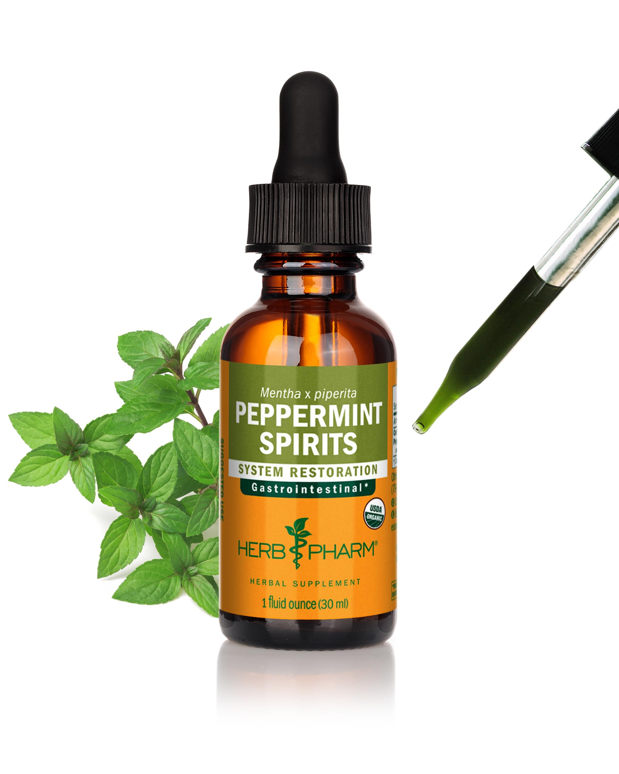 herbal digestion support tincture