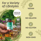 herbal digestive enzyme capsules