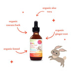 herbal digestive support for kids