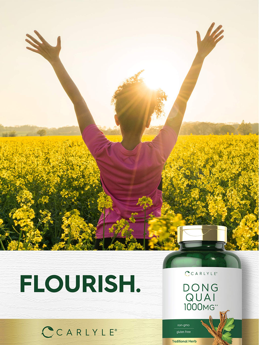 herbal dong quai for wellness