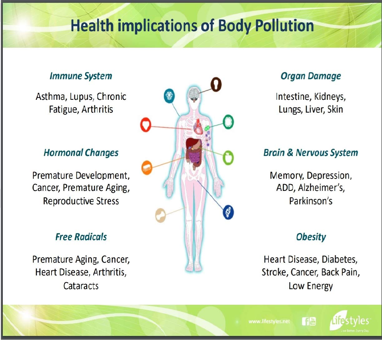 herbal drink for enhanced digestion