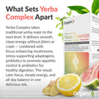herbal drink for enhanced focus