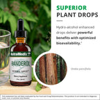 Herbal drops for immune support