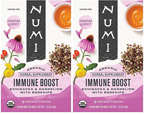 herbal echinacea benefits for health