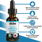 herbal echinacea drops for wellness