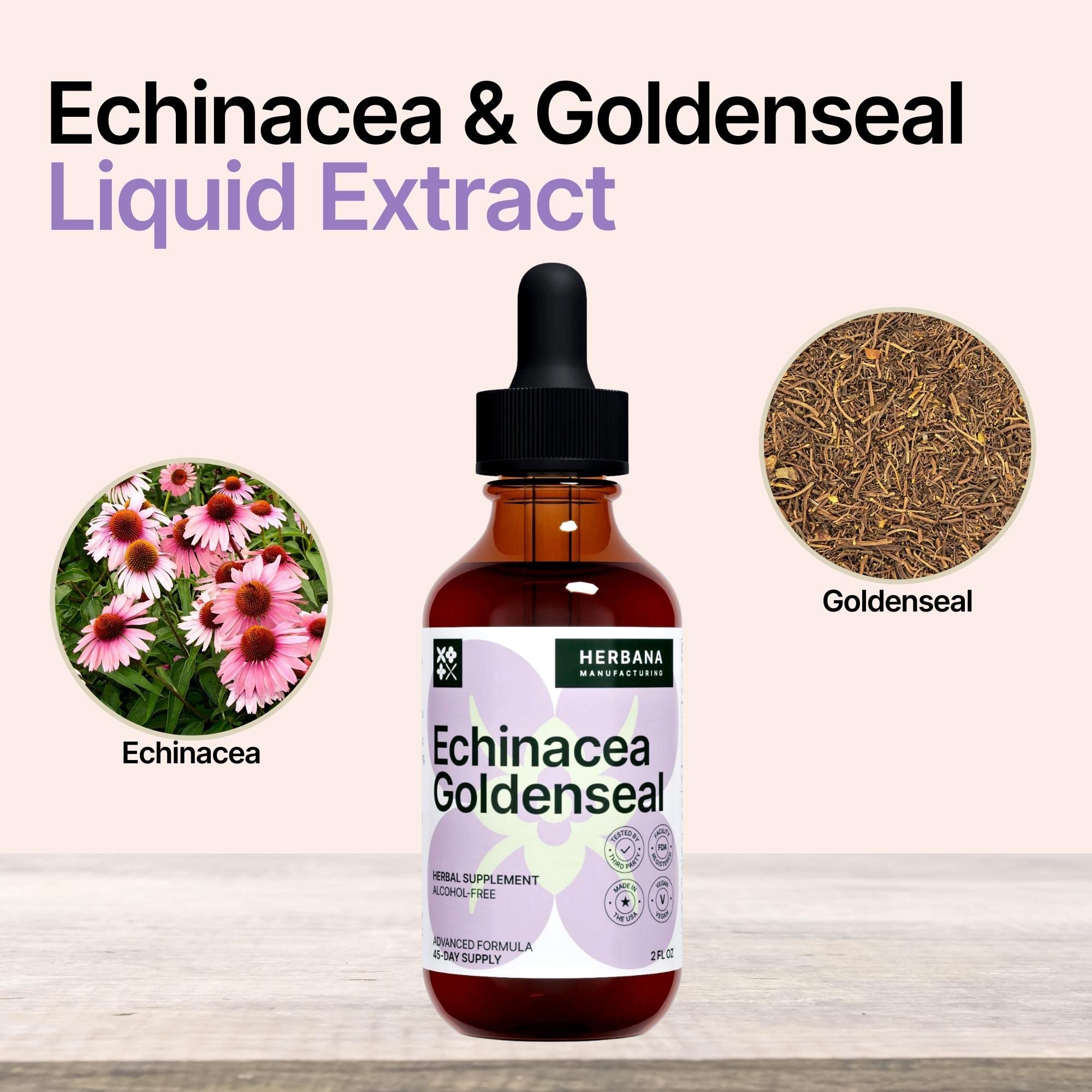 Herbal echinacea for daily wellness